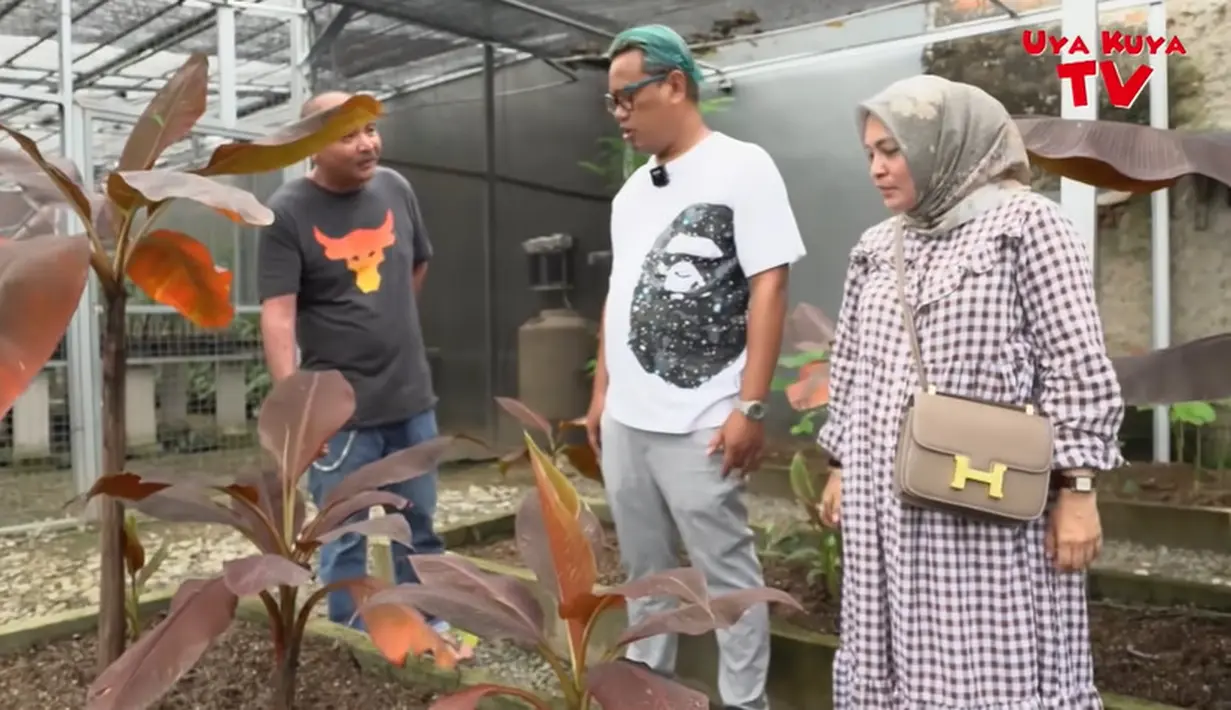 Potret Pohon Pisang Uya Kuya yang Harganya Rp 65 Juta - Photo Fimela.com