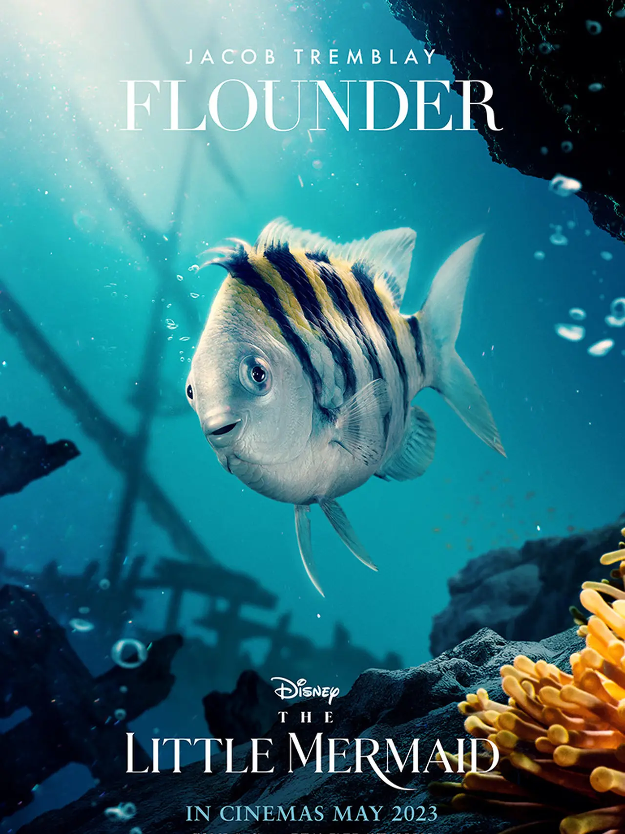 Film Live-Action "The Little Mermaid" Tayang Mei 2023, Lihat dan Kenali ...