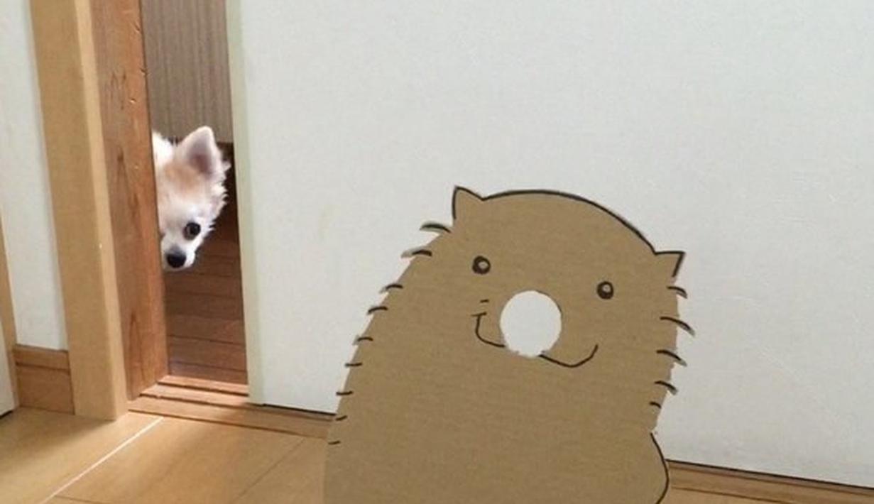 Terlihat Bahagia, Anjing Ini Dibuatkan Beragam Topeng Kardus Lucu ...