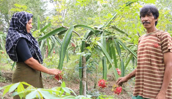 Bacaan Tawasul dalam Islam, Lengkap dengan Terjemahannya - Islami ...