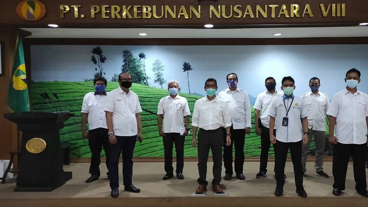Profil PT Perkebunan Nusantara VIII, BUMN Pengelola Perkebunan Teh ...
