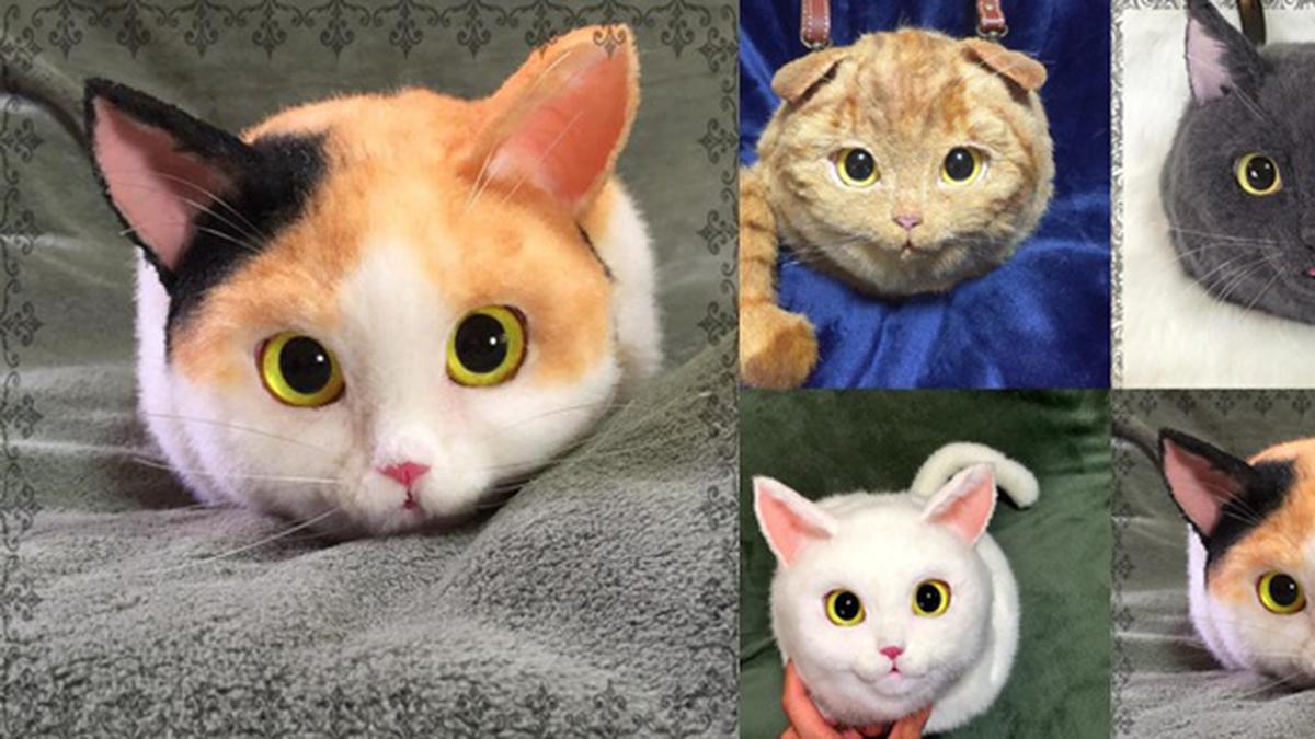 So Cute, Kucing-Kucing Imut Menggemaskan Ini Ternyata Bukan Hewan Asli