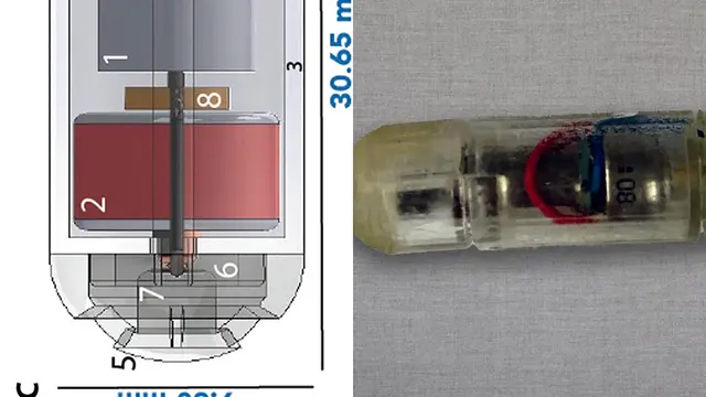 Ilmuwan Ciptakan Pil Getar Bisa Cegah Perut Lapar, Cara Diet Unik - Hot ...