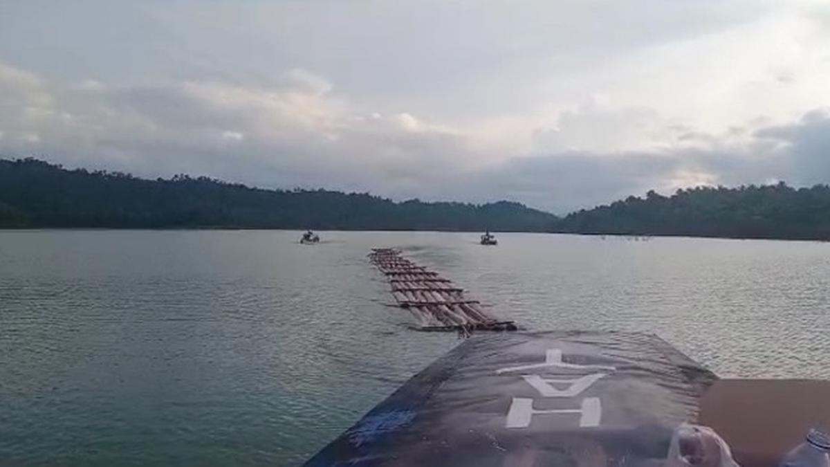 Ratusan Gelondong Kayu Berserakan di Sekitar Sungai Gulamo, Sempat ...