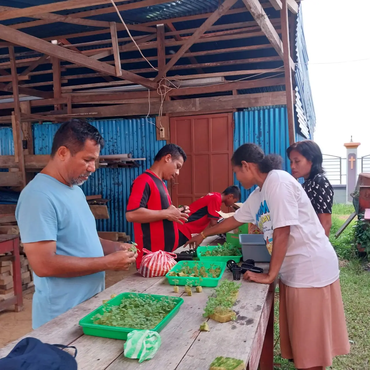 Perkenalkan Metode Hidroponik, Engelin Bantu Tingkatkan Perekonomian ...