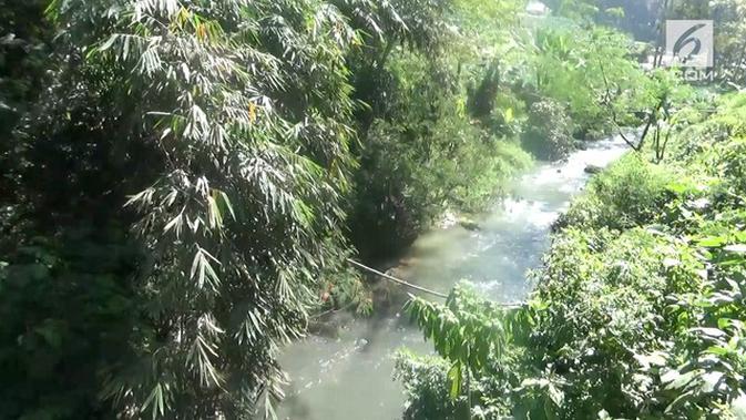VIDEO: Menjijikkan, Aliran Sungai Citarum Tercemar Limbah Kotoran Sapi ...