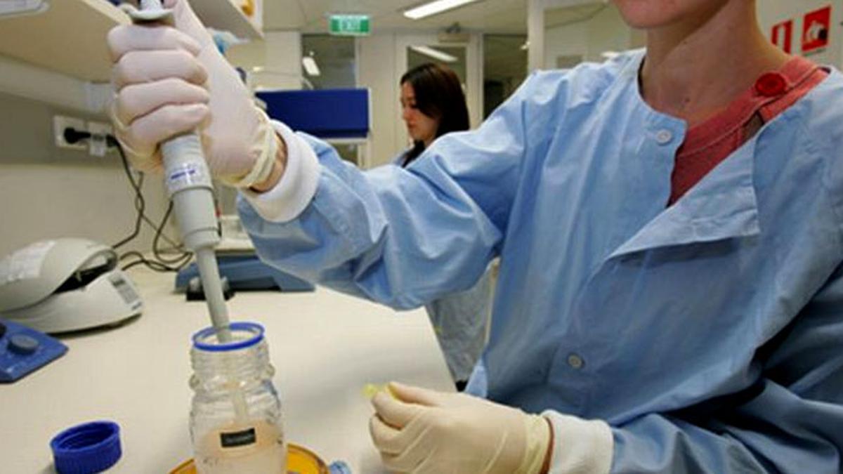 Peminat Program Bayi Tabung, 70 Persen dari Jakarta - Health Liputan6.com