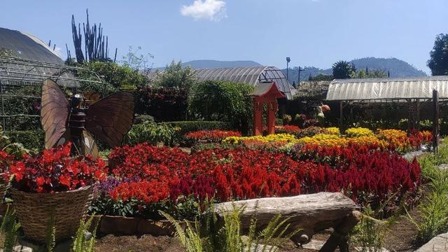 9 Wisata Bandung Barat Paling Populer, Lengkap Dengan Harga Tiket ...