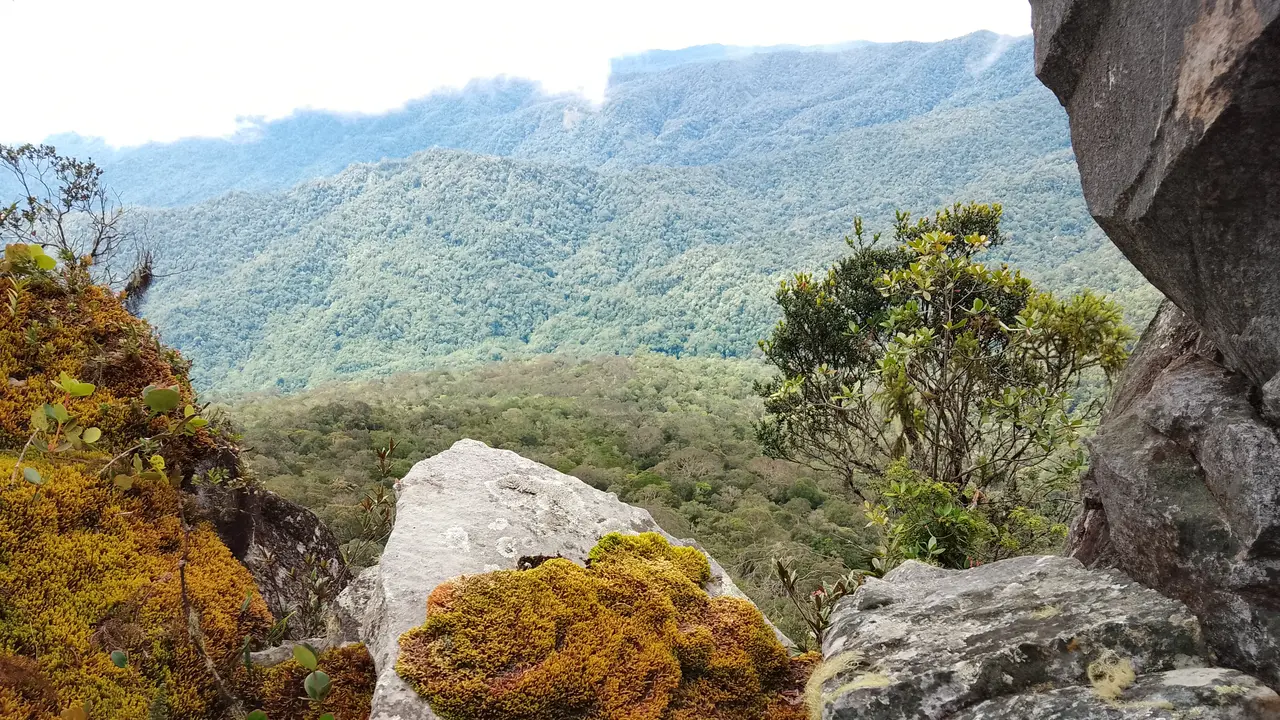 6 Fakta Menarik Gunung Batu Lawi di Malaysia yang Masuk Kawasan Taman ...