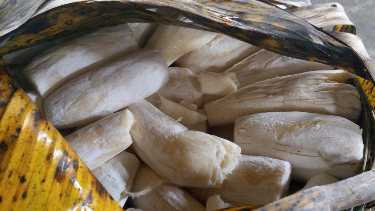 5 Fakta Peuyeum Bandung, di Antaranya Cegah Krisis Pangan Zaman ...