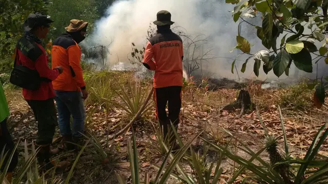 BNPB: 4 Provinsi Tetapkan Siaga Darurat Kebakaran Hutan dan Lahan - Regional Liputan6.com