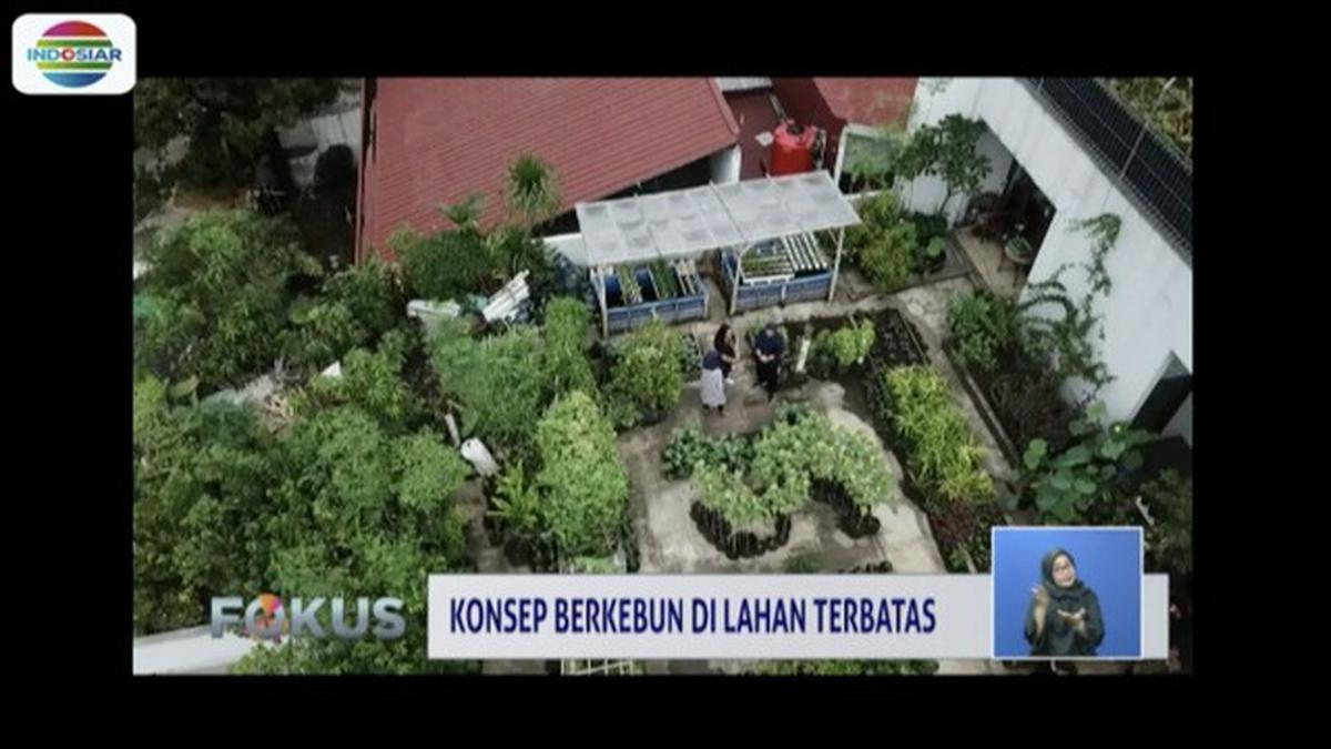 Urban Farming, Solusi Bercocok Tanam di Lahan Sempit Ibu Kota - News Liputan6.com