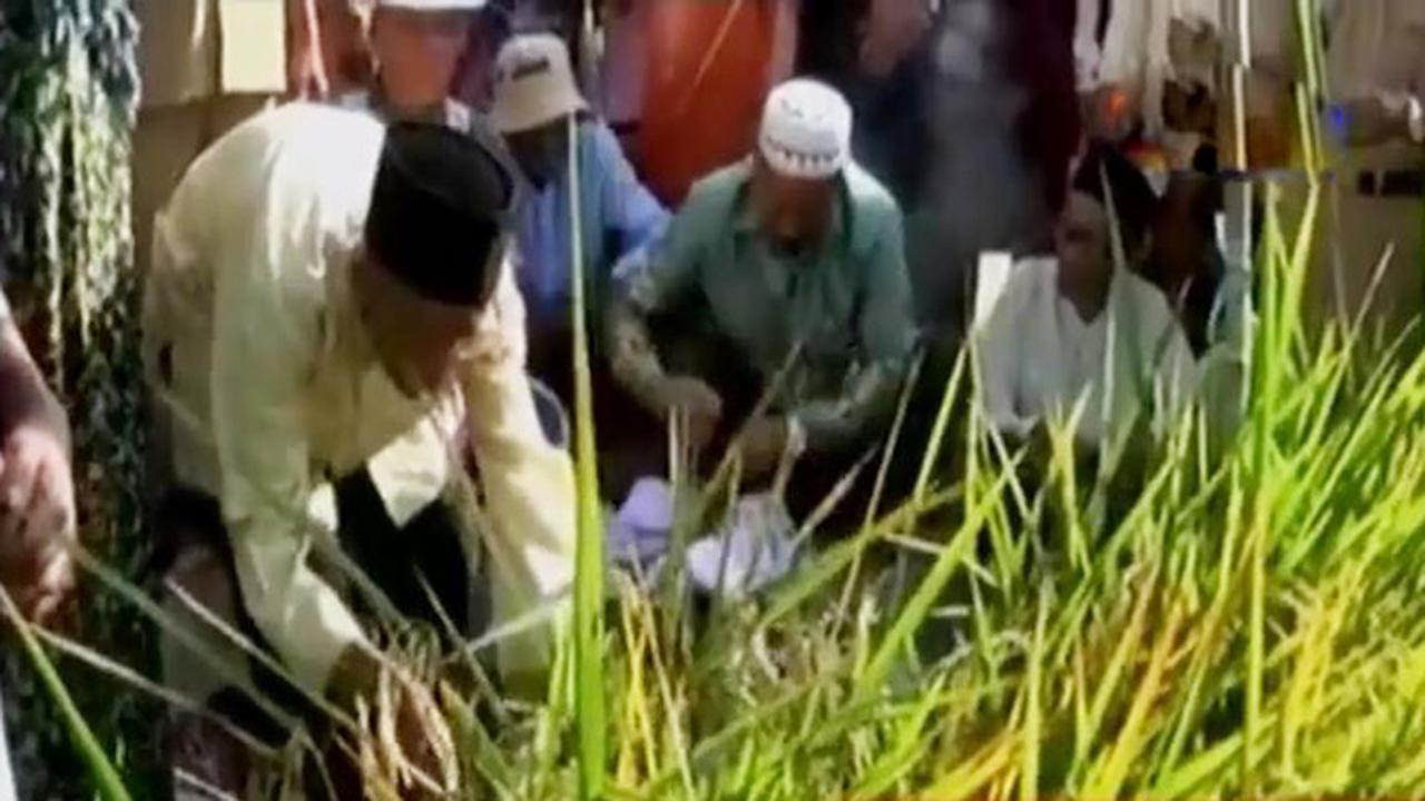 Segmen 7: Tradisi Mapag Sri hingga Program Aplikasi Online