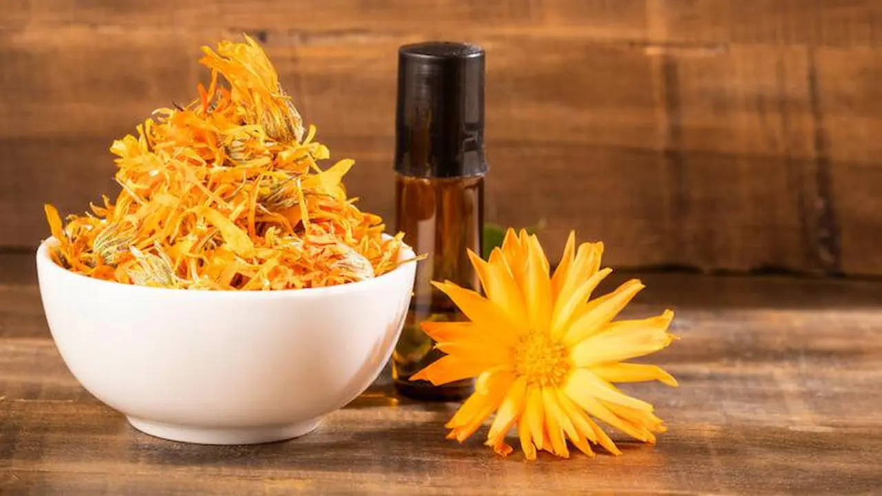 Tahu Calendula? Bunga Ini Punya Manfaat Bagi Kesehatan Lho - On Off ...