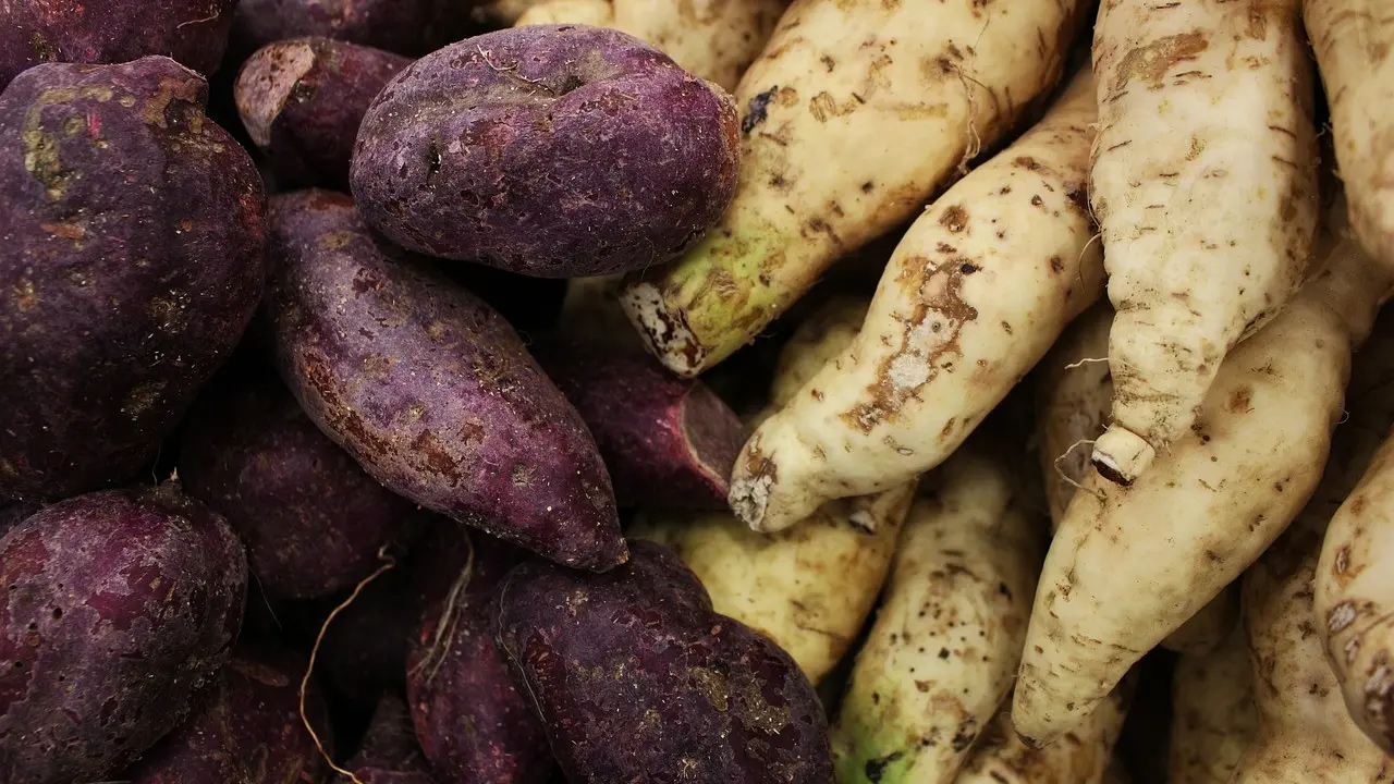 Ubi Jalar Ungu, Kuning, Putih: Mana yang Paling Bergizi dan Enak? - Hot ...