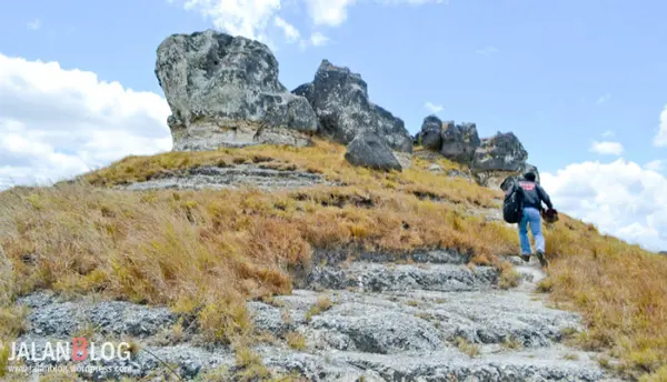 Bahaya Mengorek Kuping Terlalu Dalam, Begini Cara yang Benar - Regional ...