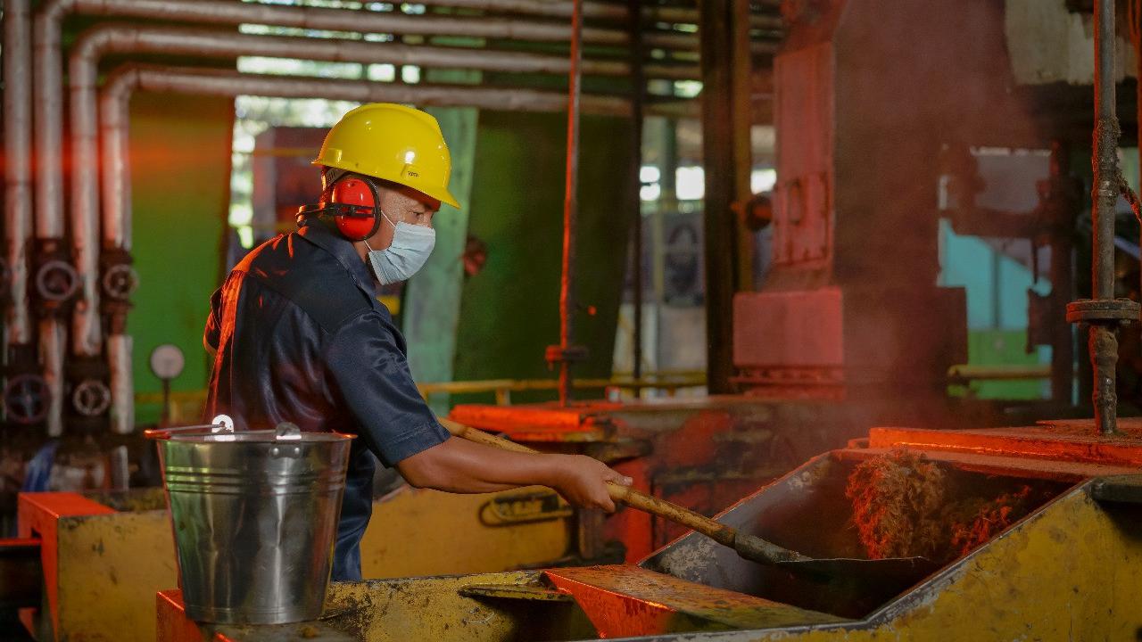 Tekan Emisi Karbon, PalmCo Operasikan 11 Biogas Plant Berkapasitas 12,05 MW