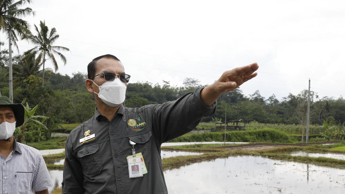 Tingkatkan Indeks Pertanaman dan Produktivitas Pertanian Garut ...