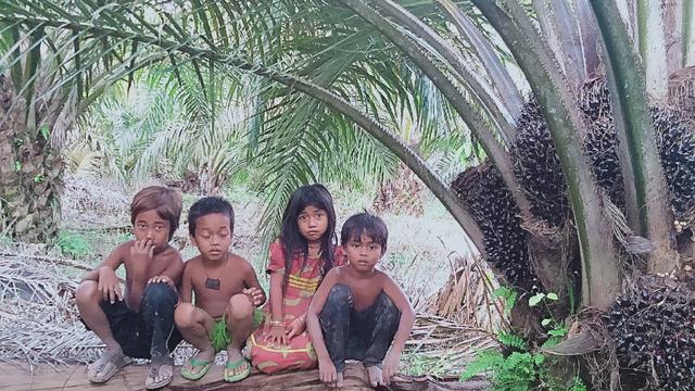 Potret Perempuan Orang Rimba Berbagi Hasil Buruan - Regional Liputan6.com