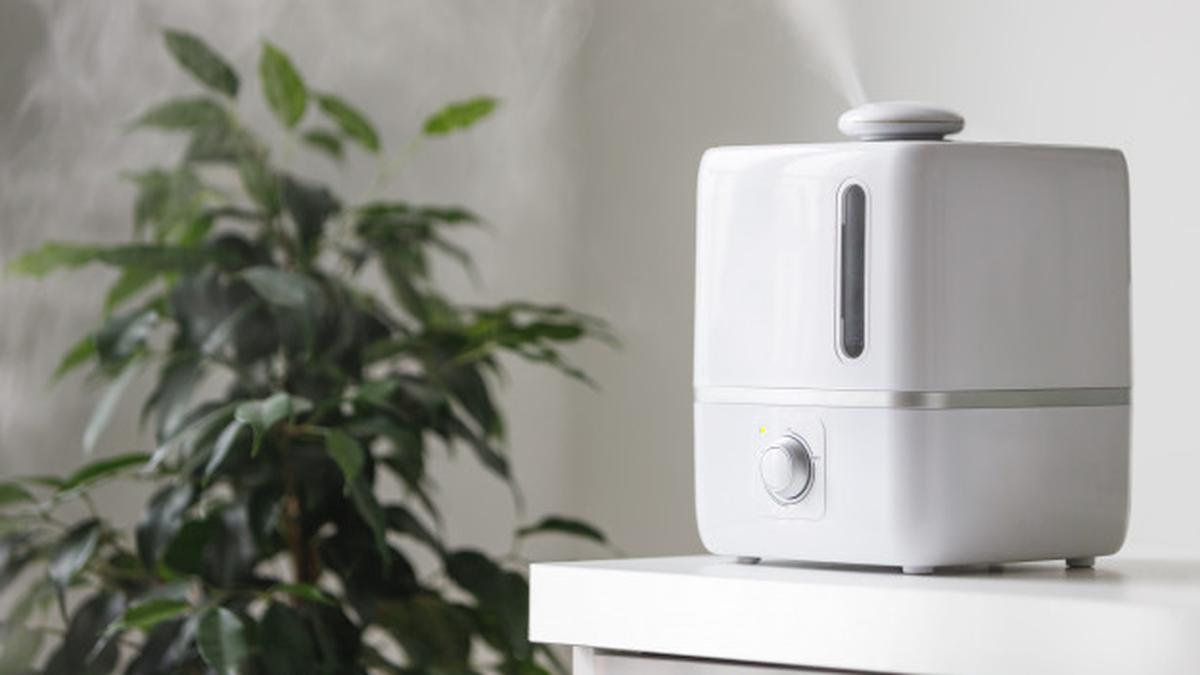 Mengenal Humidifier dan Manfaatnya bagi Kesehatan