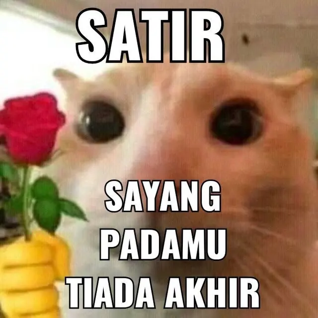 6 Meme Singkatan Kata Familiar Ini Nyeleneh Banget, Maknanya Jadi Kocak ...