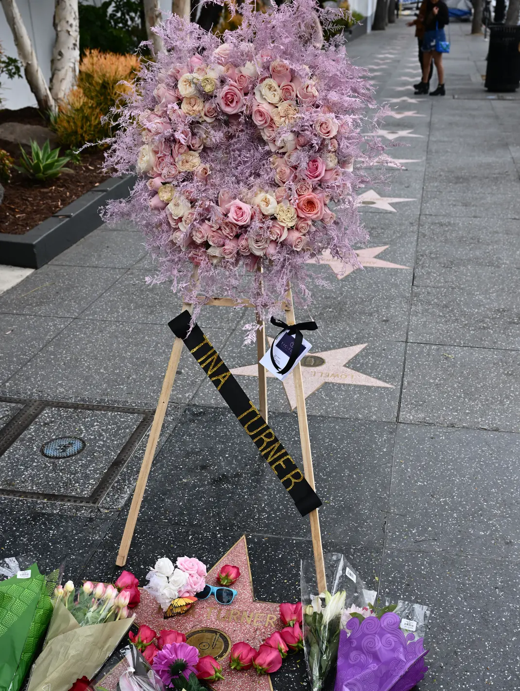 Penyanyi Legendaris Tina Turner Meninggal Dunia, Walk of Fame Miliknya ...