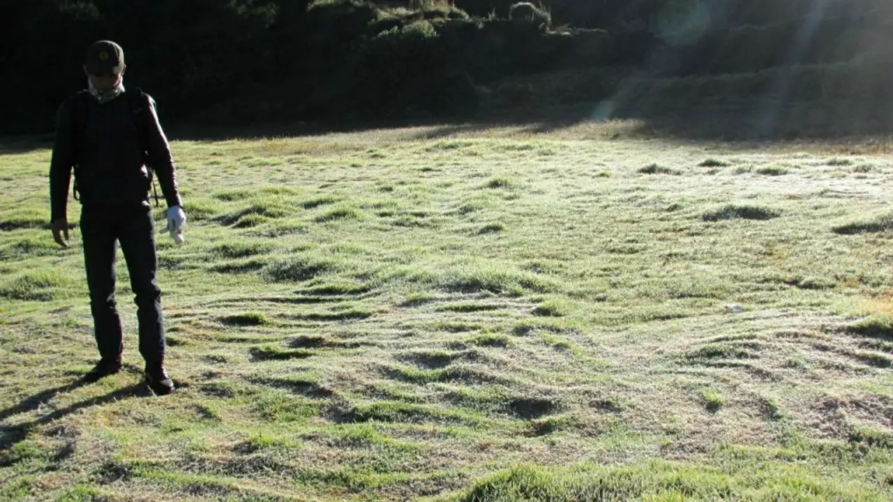 Mengenal Embun Es Dieng, 'Salju' Cantik nan Mematikan - Regional ...