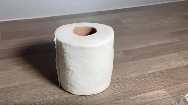 Laris Banget, Roti Tisu Toilet Terinspirasi oleh Pandemi Corona COVID ...