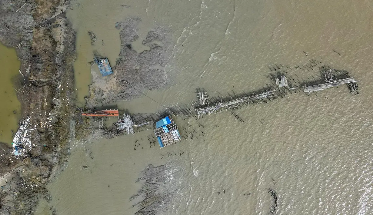 Dampak Perubahan Iklim, Abrasi Pantai Weg naar Zee Suriname Kian ...