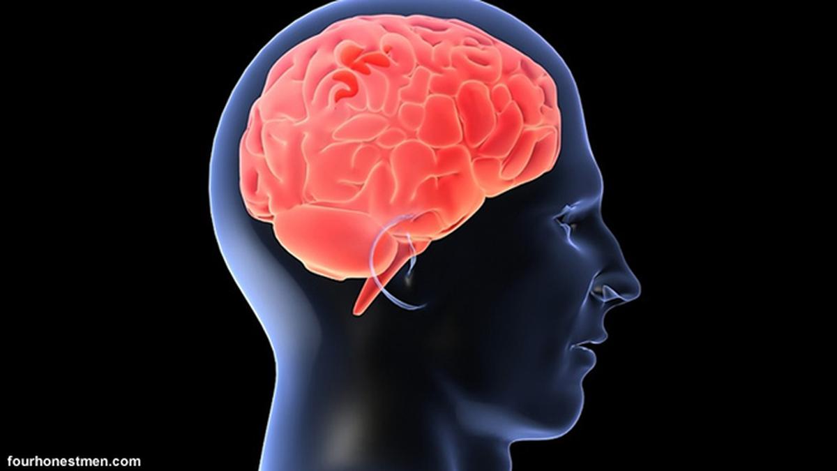 Sehatkan Otak dengan 4 Cara Tak Terduga - Health Liputan6.com
