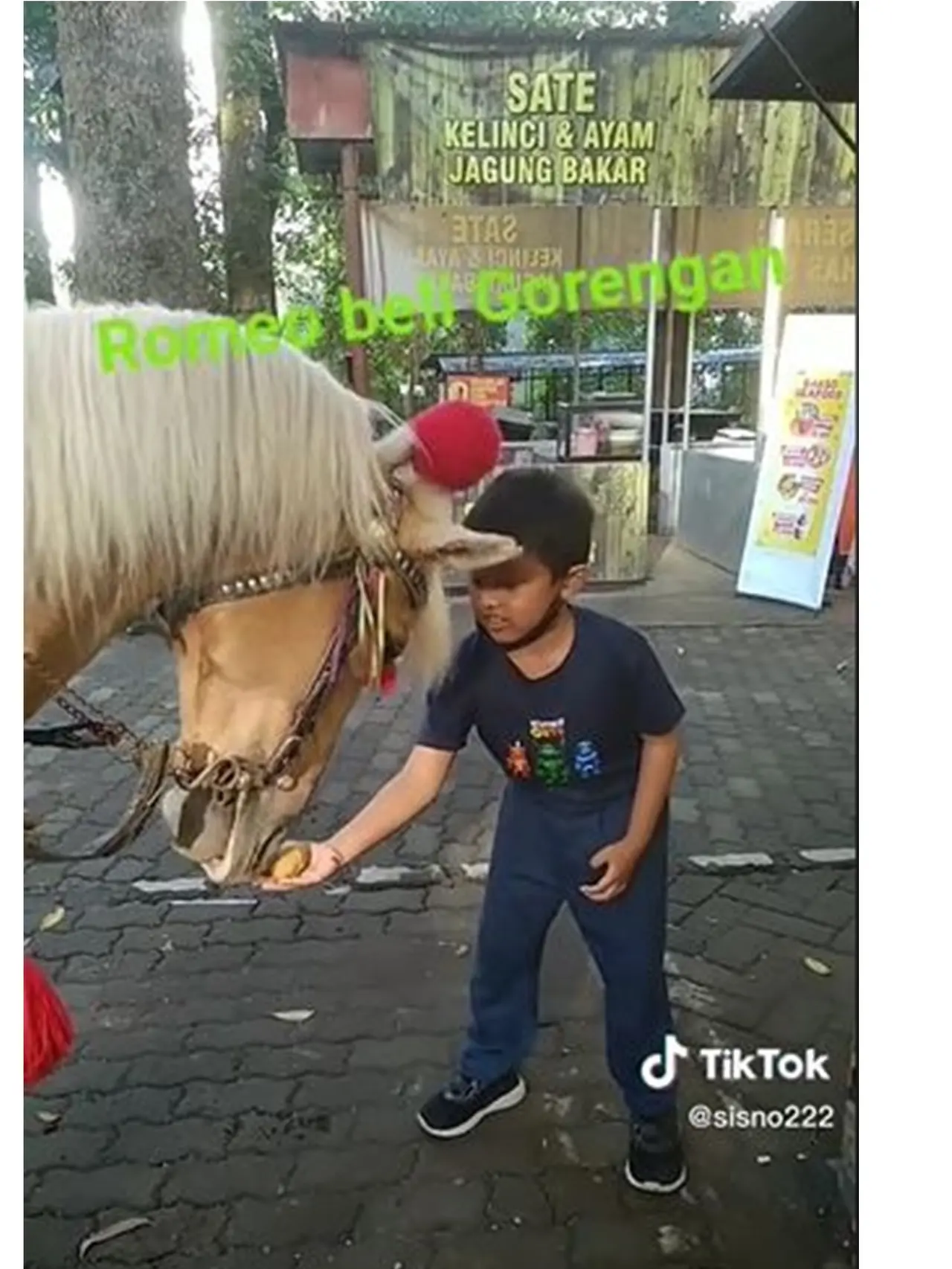 Aksi Kocak Kuda 'Romeo' Berlari Sendiri Jajan Gorengan, Bikin ...