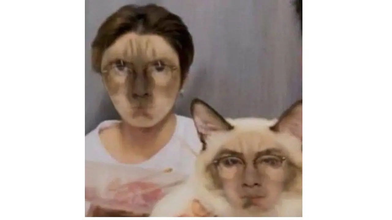 5 Editan Foto Kucing Tukar Wajah dengan Pemiliknya Ini Bikin Geleng ...