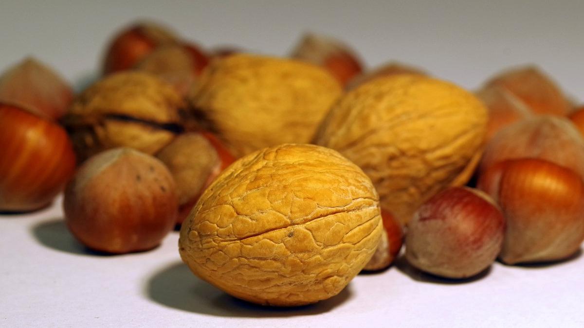 Viral Video TikTok Hazelnut adalah Kemiri, Apa Manfaat Kacang Hazel ...