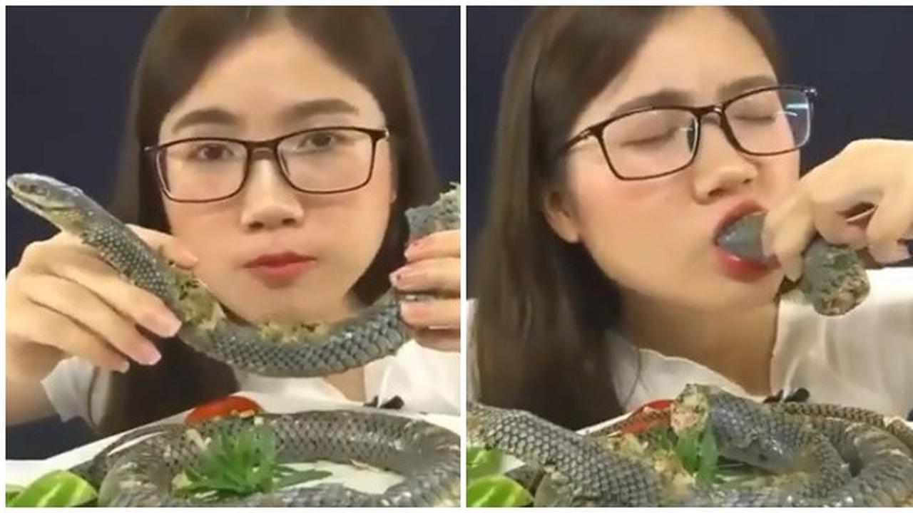 Tak Biasa, Wanita Ini Mukbang Ular Kobra dan Bikin Netizen Bergidik