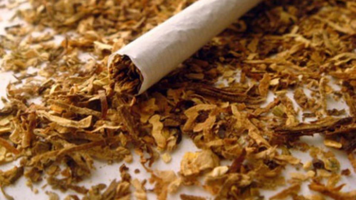 DPR: Pertama dalam Sejarah, Industri Rokok Alami Kontraksi - Bisnis ...