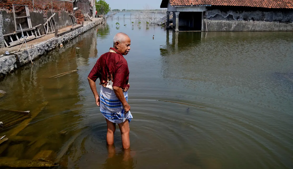 Potret Warga Timbulsloko dan Mondoliko Bertahan Hidup di Tengah Banjir ...