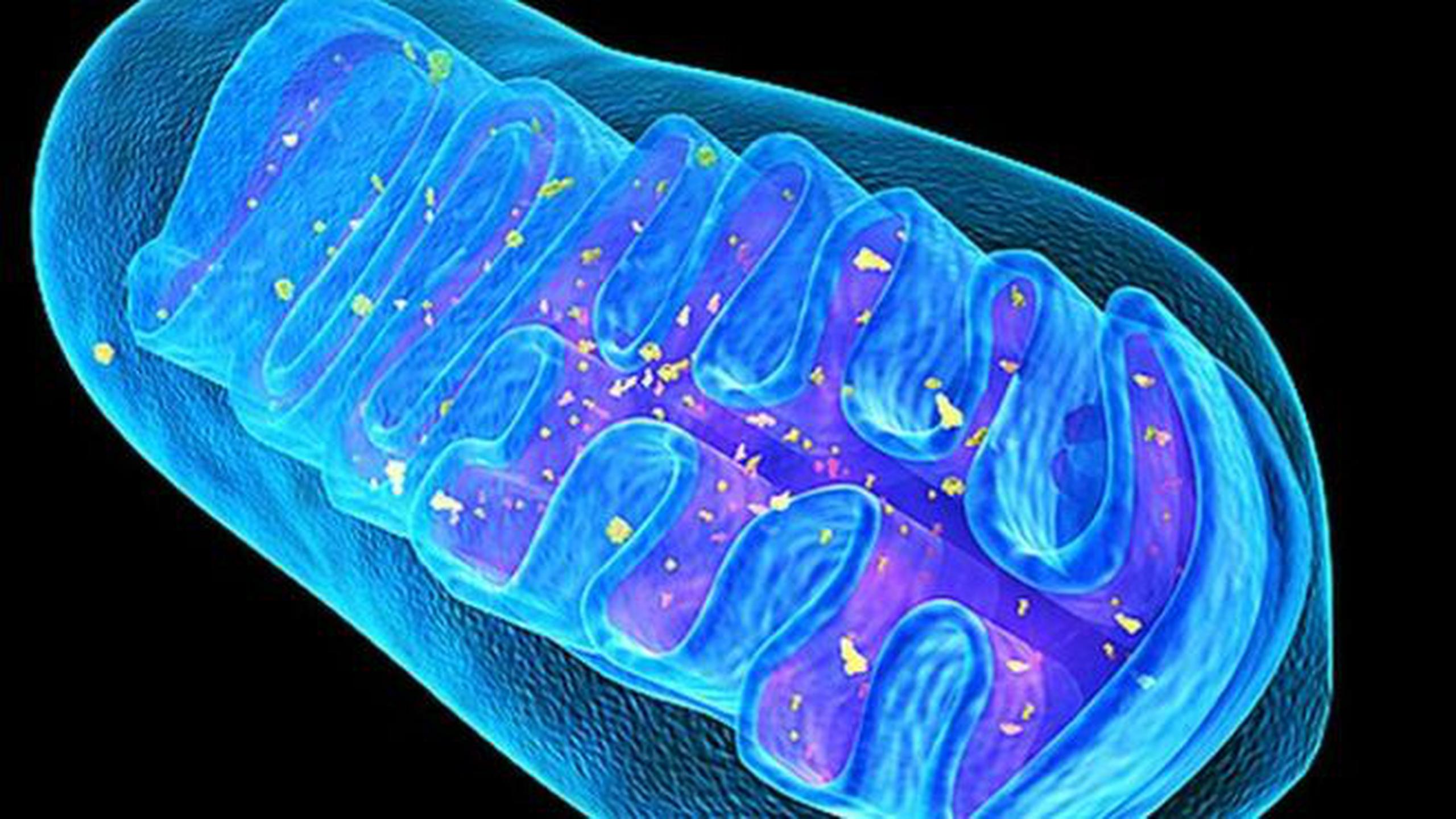 ATP Adalah Singkatan dari Adenosin Trifosfat, Ketahui Fungsi dan ...