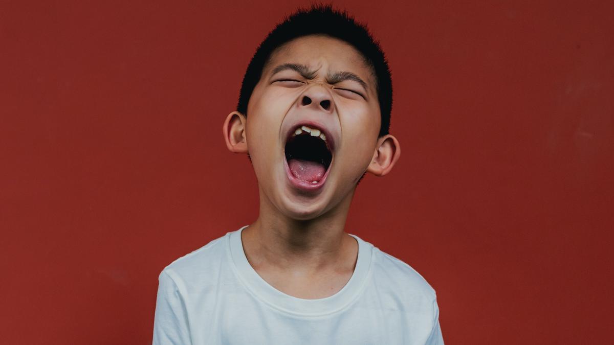 Perbedaan Gaung dan Gema yang Bisa Dipahami