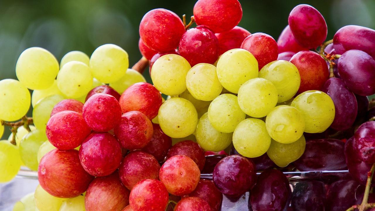 Apa Itu Anggur Muscat? Punya Rasa Manis dan Kaya Manfaat