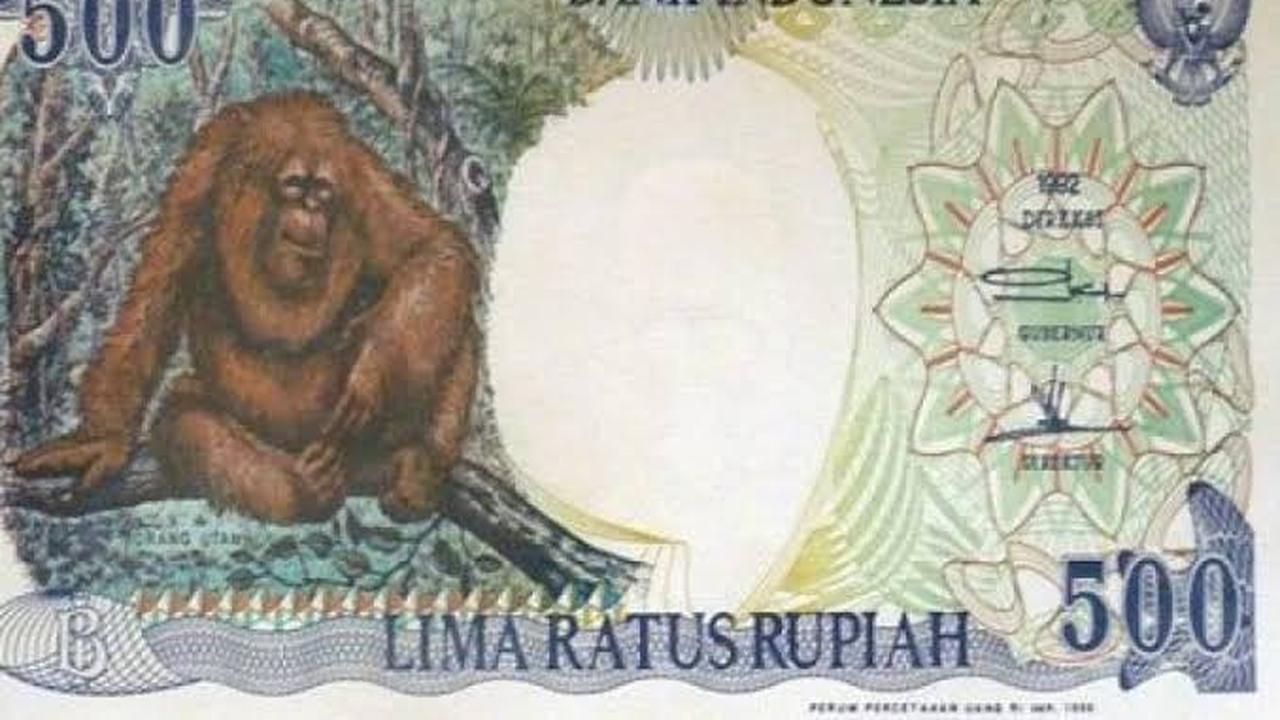Uang Kertas Pecahan Rp500 Gambar Orang Utan Diburu Kolektor