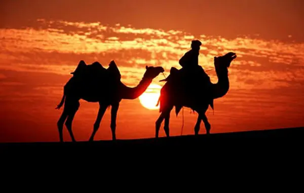 1 Rim Berapa Lembar? Ini Penjelasan Satuan Rim, Kodi, Gross, dan Lusin ...