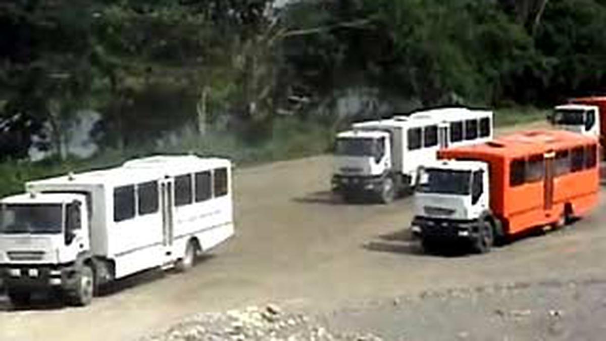 Bus Freeport Diserang Lagi - News Liputan6.com