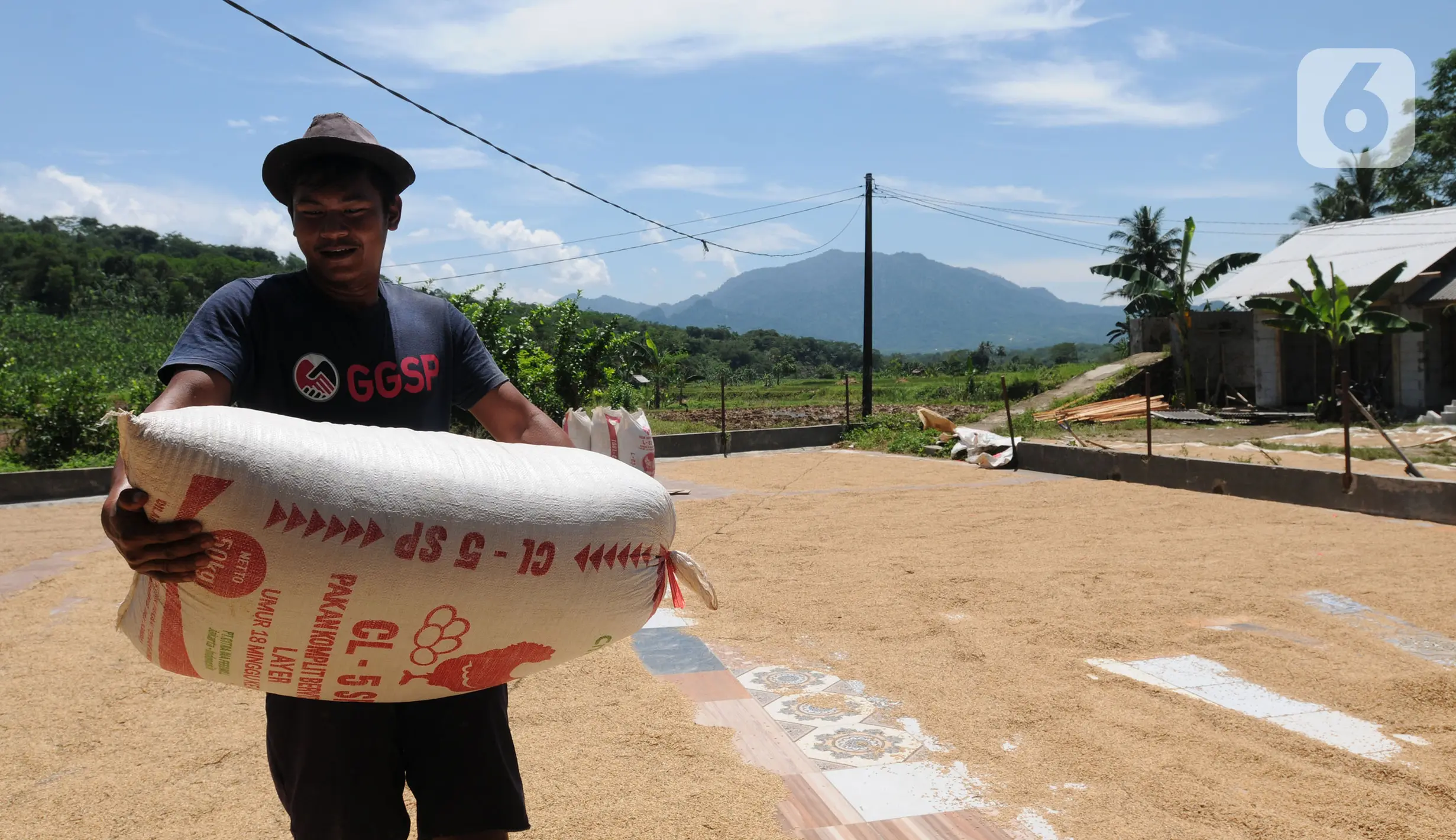 FOTO: Harga Gabah Kering Giling Alami Kenaikan - Foto Liputan6.com