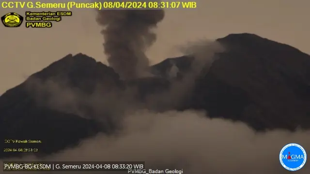 Gunung Semeru Erupsi, Semburkan Abu Vulkanik Setinggi 700 Meter ke Arah Selatan - Regional ...