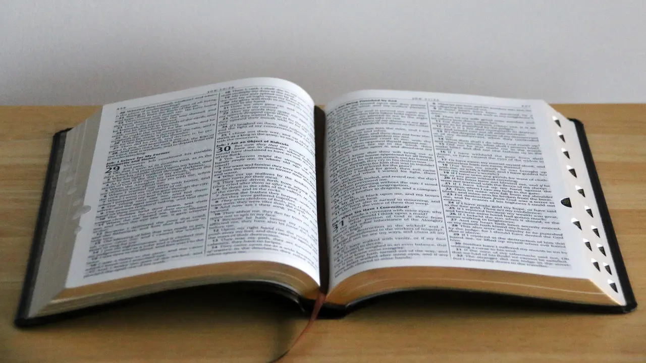 4 Contoh Doa Umat Katolik untuk Lingkungan, Pahami Juga Ayat Alkitab ...