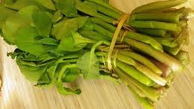 10 Manfaat Genjer untuk Kesehatan, Ketahui Efek Samping dan Kandungan ...