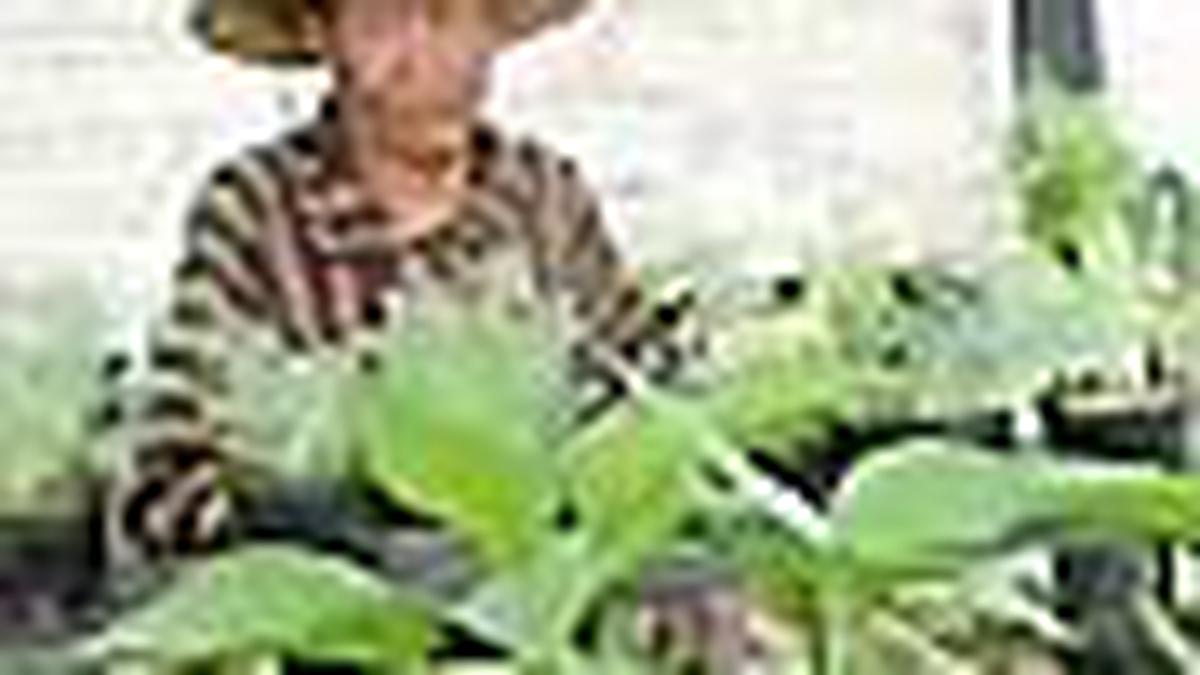 Wisata Sehat di Taman Djamoe Indonesia - Video Liputan6.com