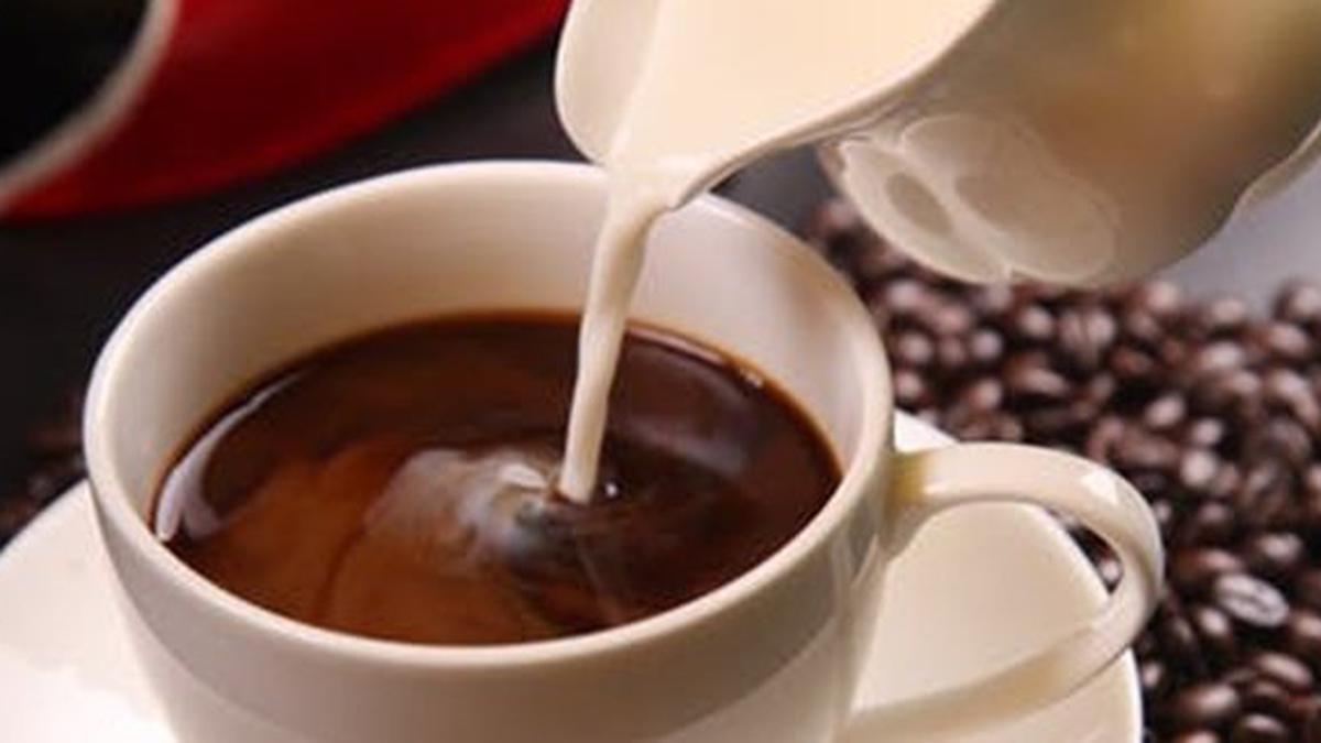 Resep Cara Membuat Krimer Kopi Untuk Vegetarian Super Mudah