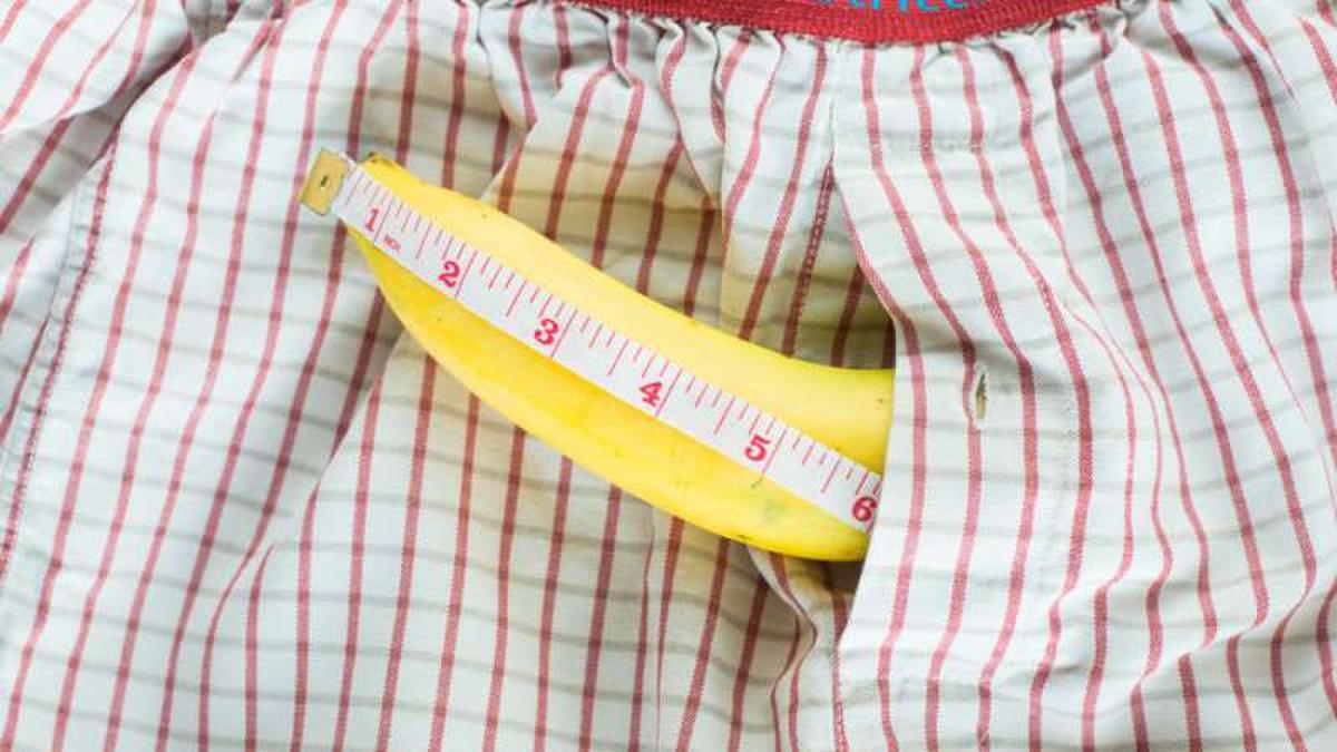 Ilmuwan Ungkap Kenapa Manusia Berpenis Besar Tapi Zakarnya Kecil
