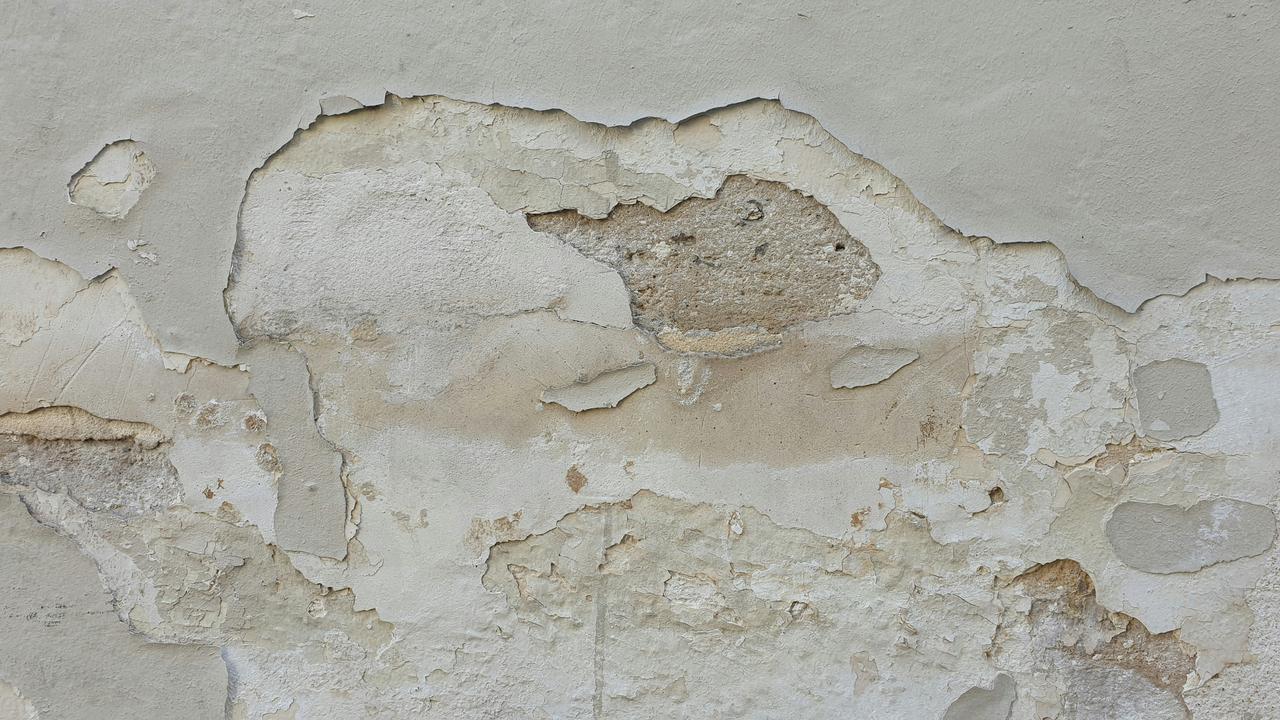 Cat vs Wallpaper untuk Dinding Berjamur, Mana Pilihan Terbaik?